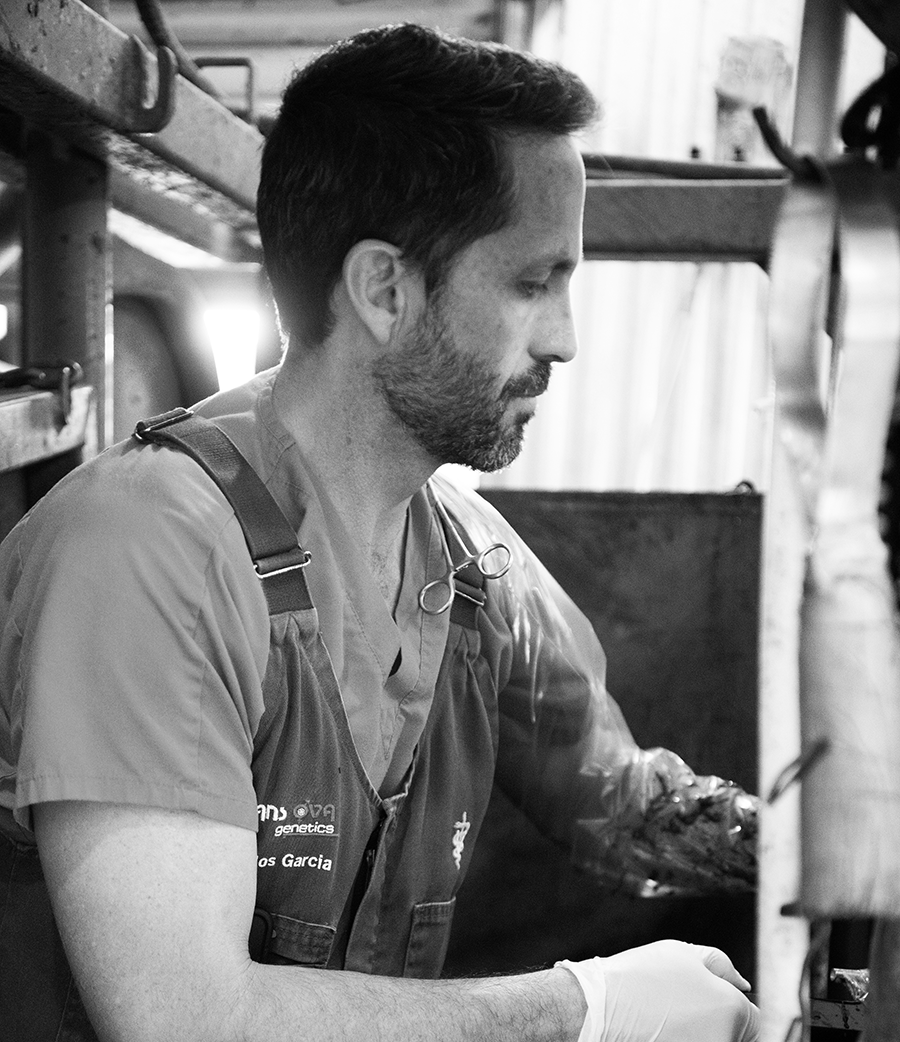 Trans Ova Satellite Run Dates